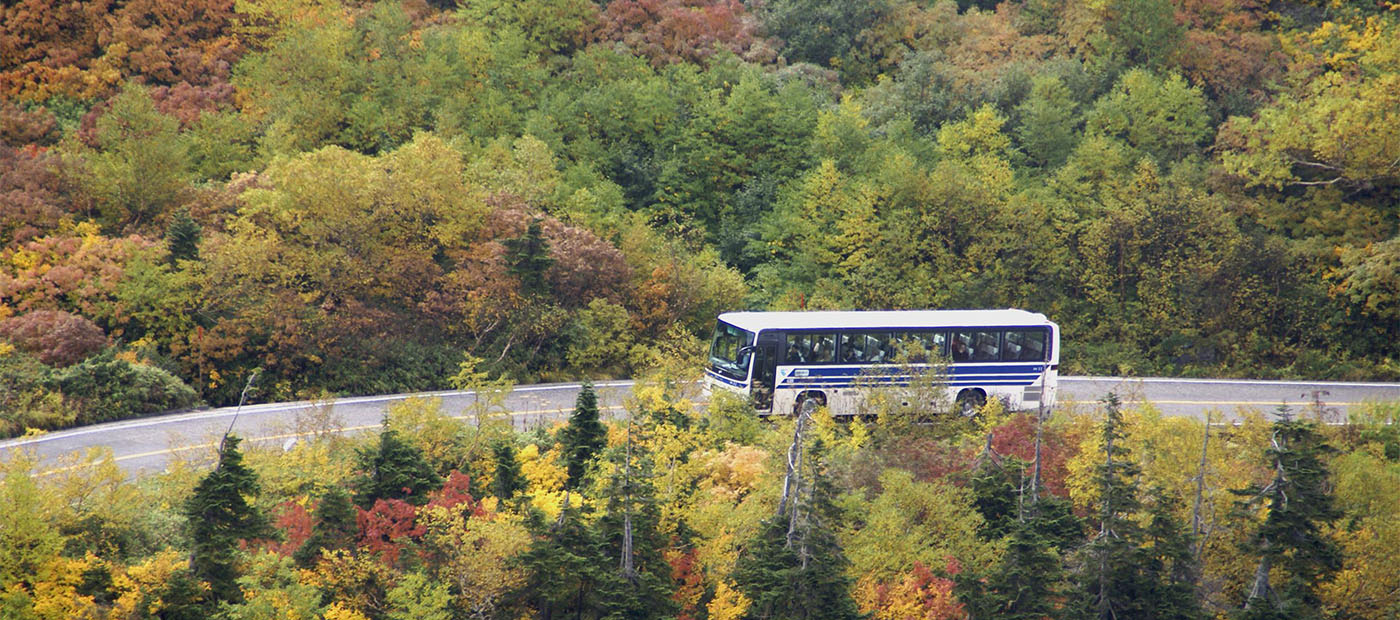 Tateyama Kurobe Alpine Route | Official Website